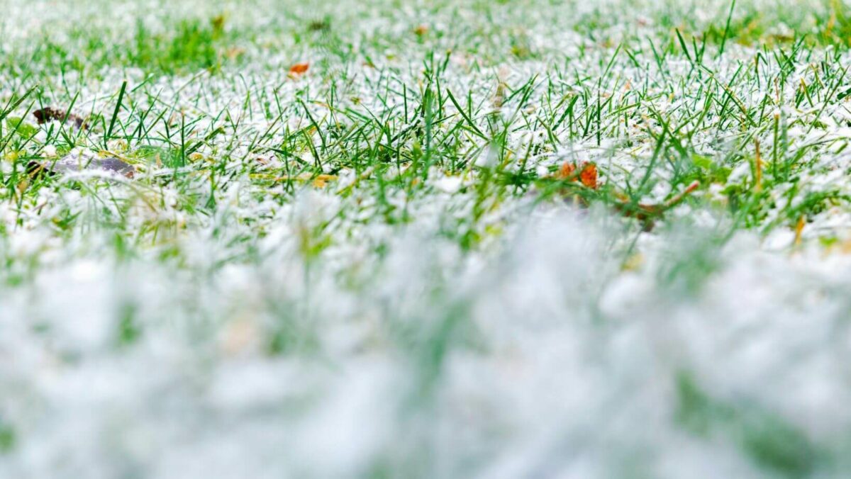 Winter Lawn Care Tips for Northeast Homeowners | Turfcor Lawn and Tree Care